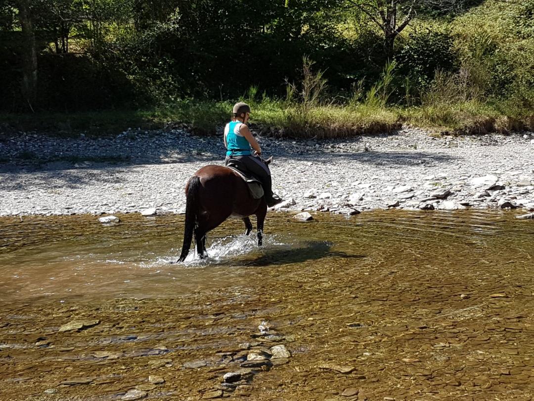 Balade et randonnée à cheval dans les Cévennes - La Ferme Equestre des ...